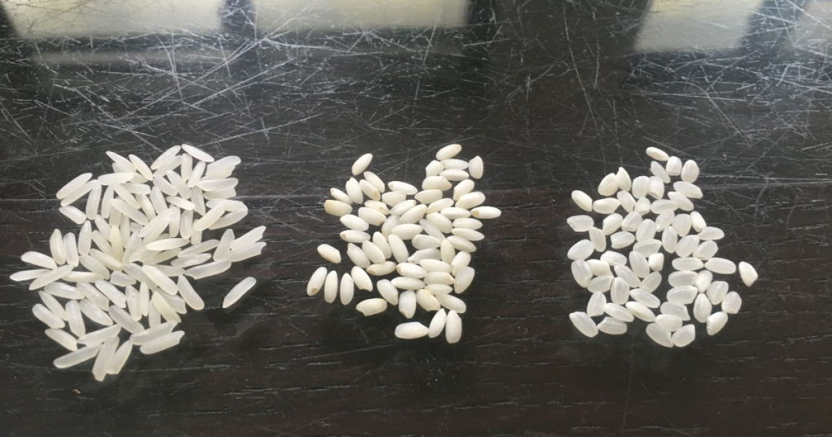 Burmese rice/Thai rice/Taiwanese rice three kinds of rice tasting~Rice ...