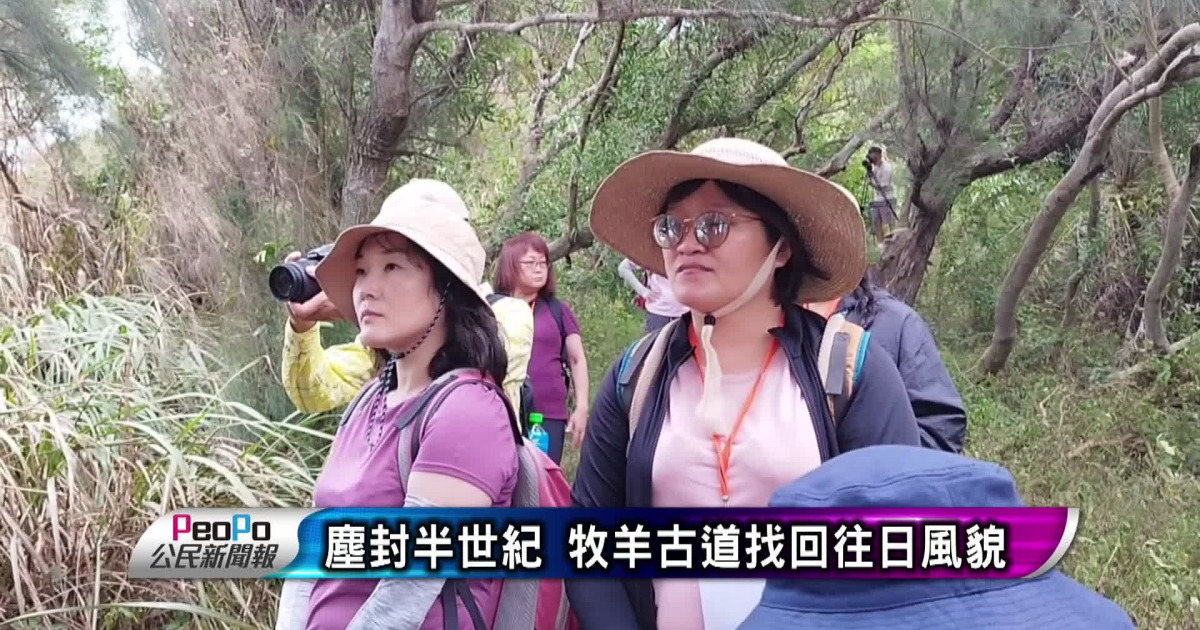 112年11月12日--公民新聞報 1057 | PeoPo 公民新聞