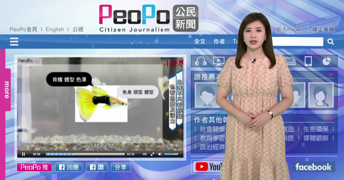 112年12月25日--公民新聞報 | PeoPo 公民新聞