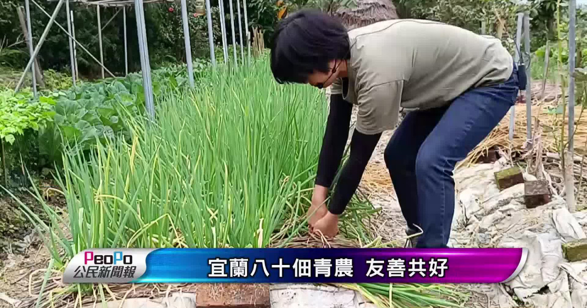 113年3月24日--公民新聞報 0957 | PeoPo 公民新聞