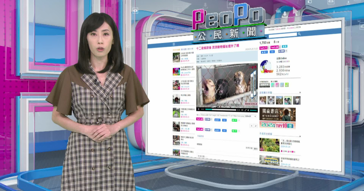 113年6月6日--公民新聞報 | PeoPo 公民新聞